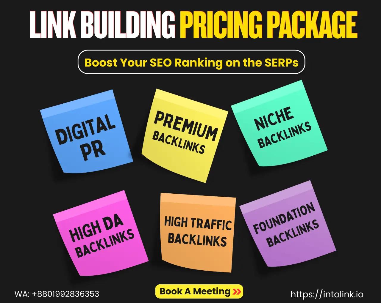 Intolink Pricing Package | Choose Your Best Plan